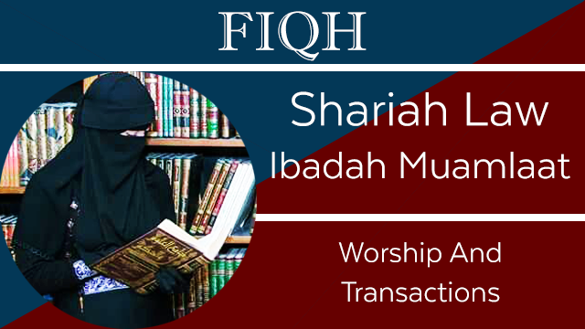 Homepage - ALIM University